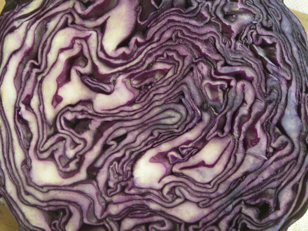 La magie du chou – Couleurs en herbe